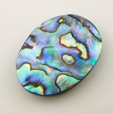 Muszla paua abalone do biżuterii